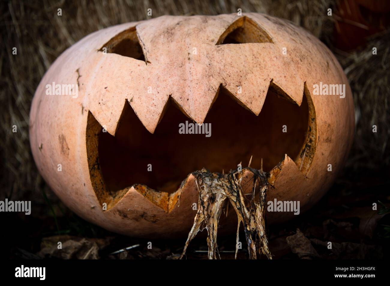 Meppen helte hi-res stock photography and images - Alamy