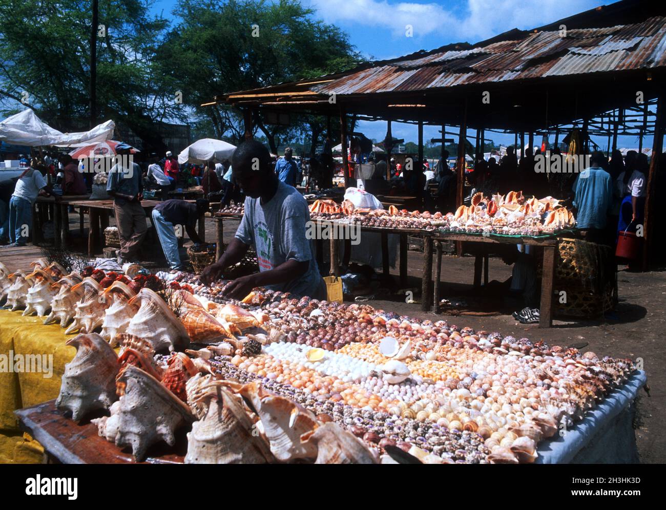 Stall selling sea-shells, fish market in Dar es-Salaam, Tanzania Stock ...