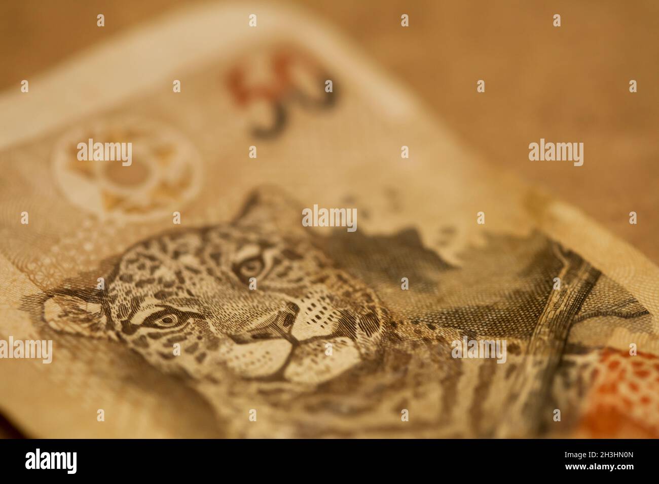 Cinquenta reais hi-res stock photography and images - Alamy