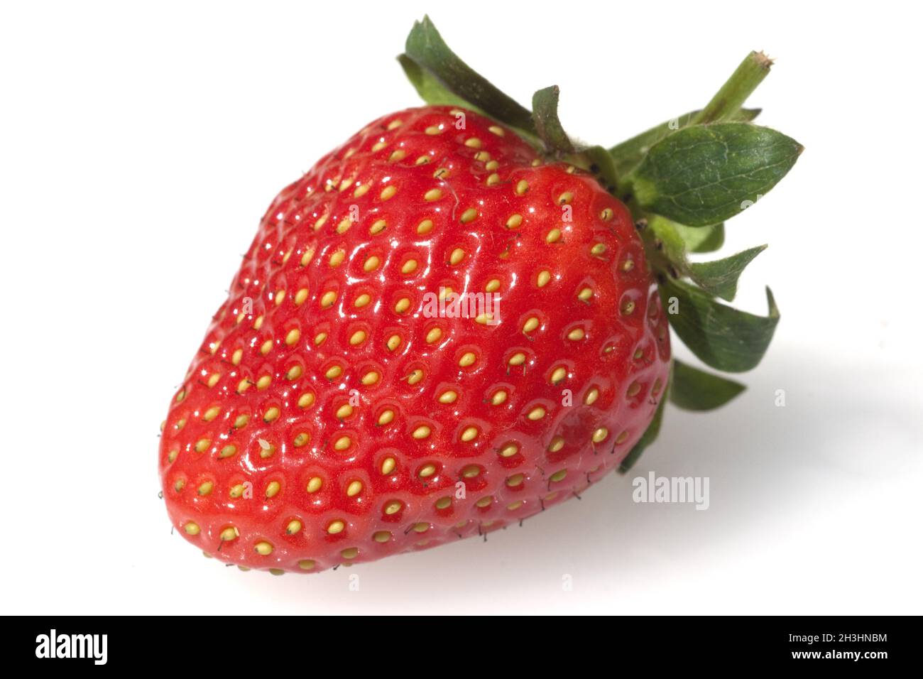 Strawberry, Fragaria x ananassa, soft fruit Stock Photo - Alamy