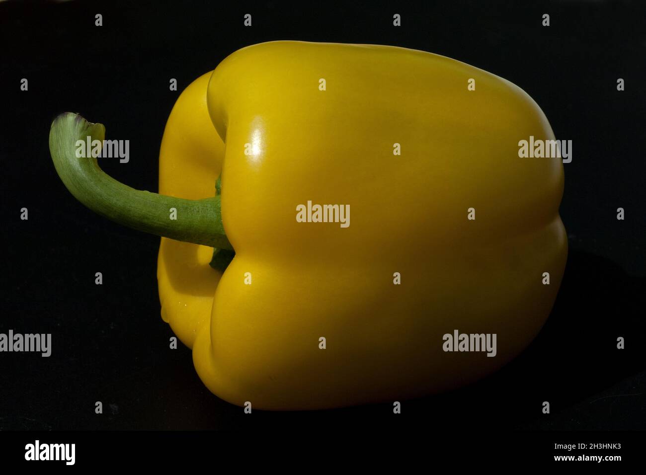 Capsicum; Capsicum; annuum Stock Photo - Alamy