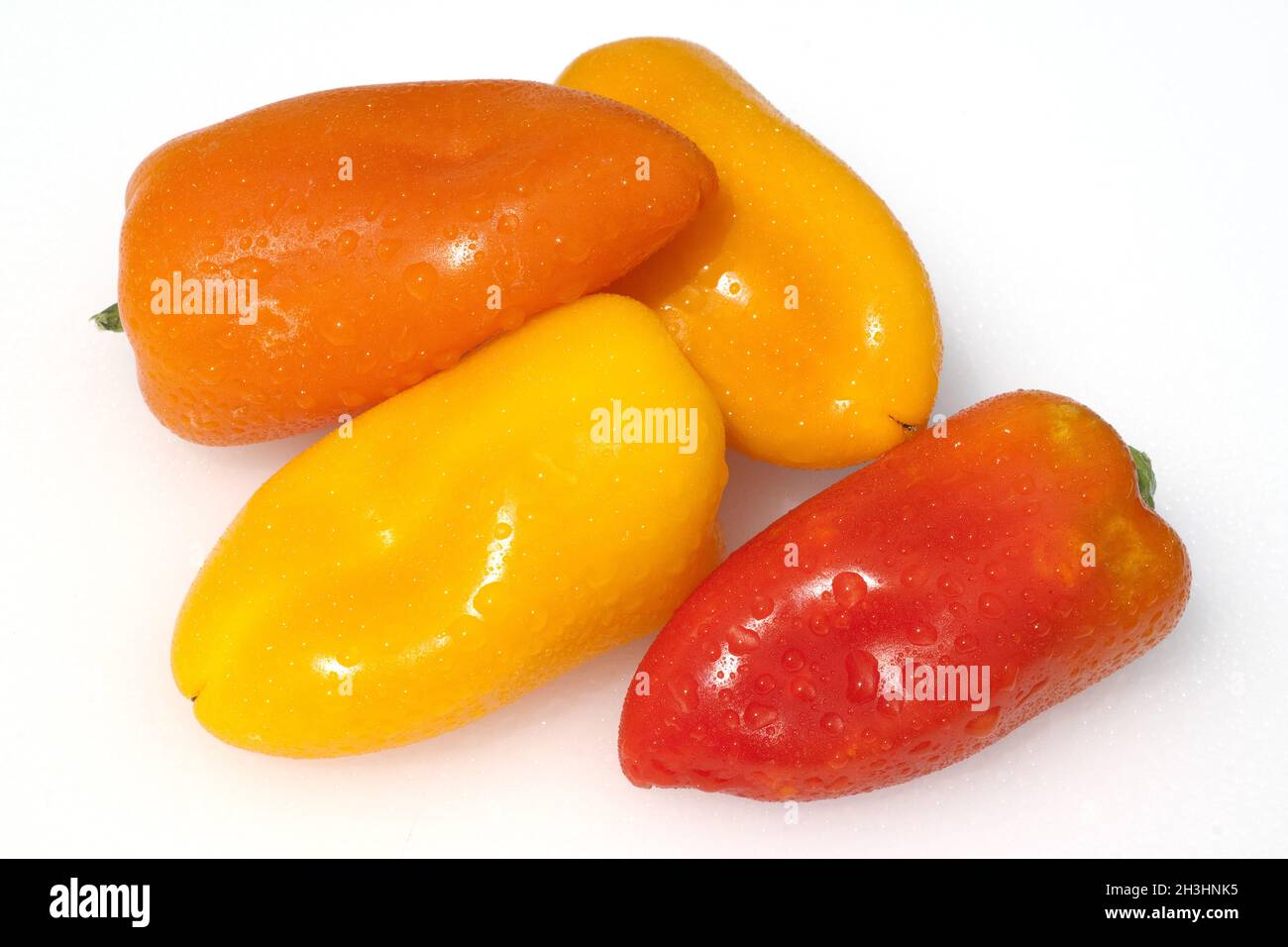 Capsicum; Capsicum; annuum Stock Photo - Alamy