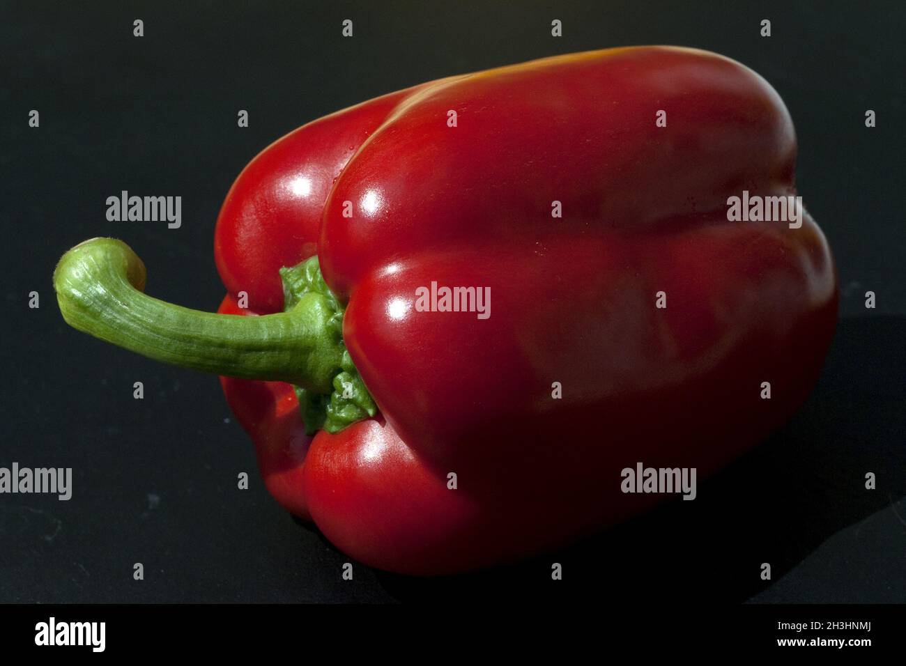 Capsicum; Capsicum; annuum Stock Photo - Alamy