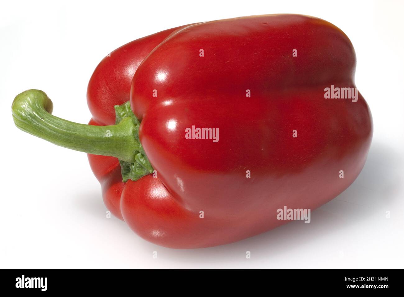 Capsicum; Capsicum; annuum Stock Photo - Alamy