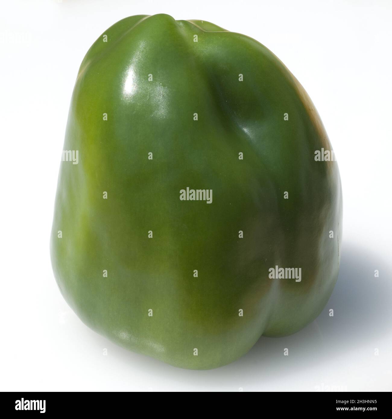 Capsicum; Capsicum; annuum Stock Photo - Alamy
