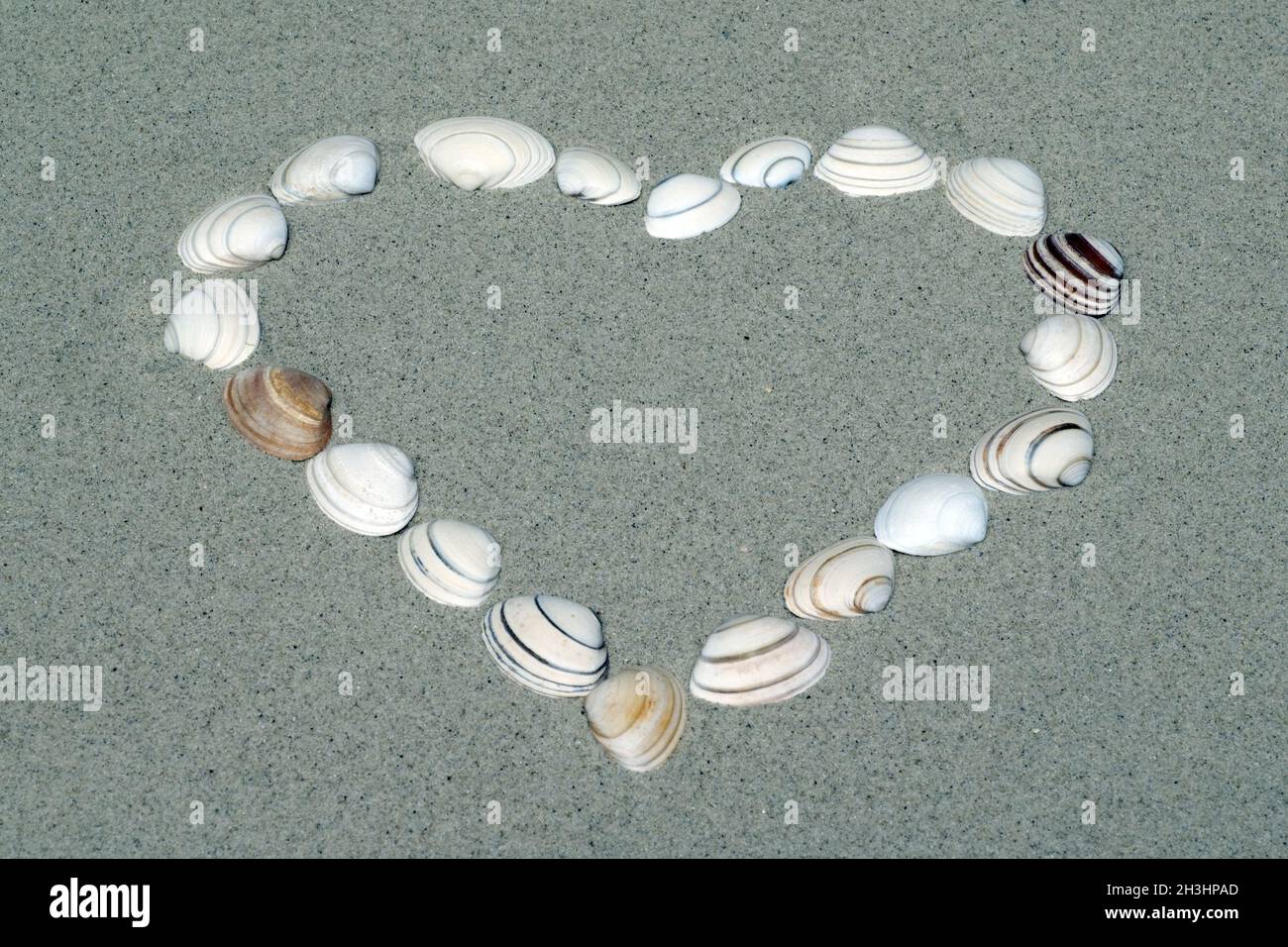 Heart of mussel shells hi-res stock photography and images - Alamy