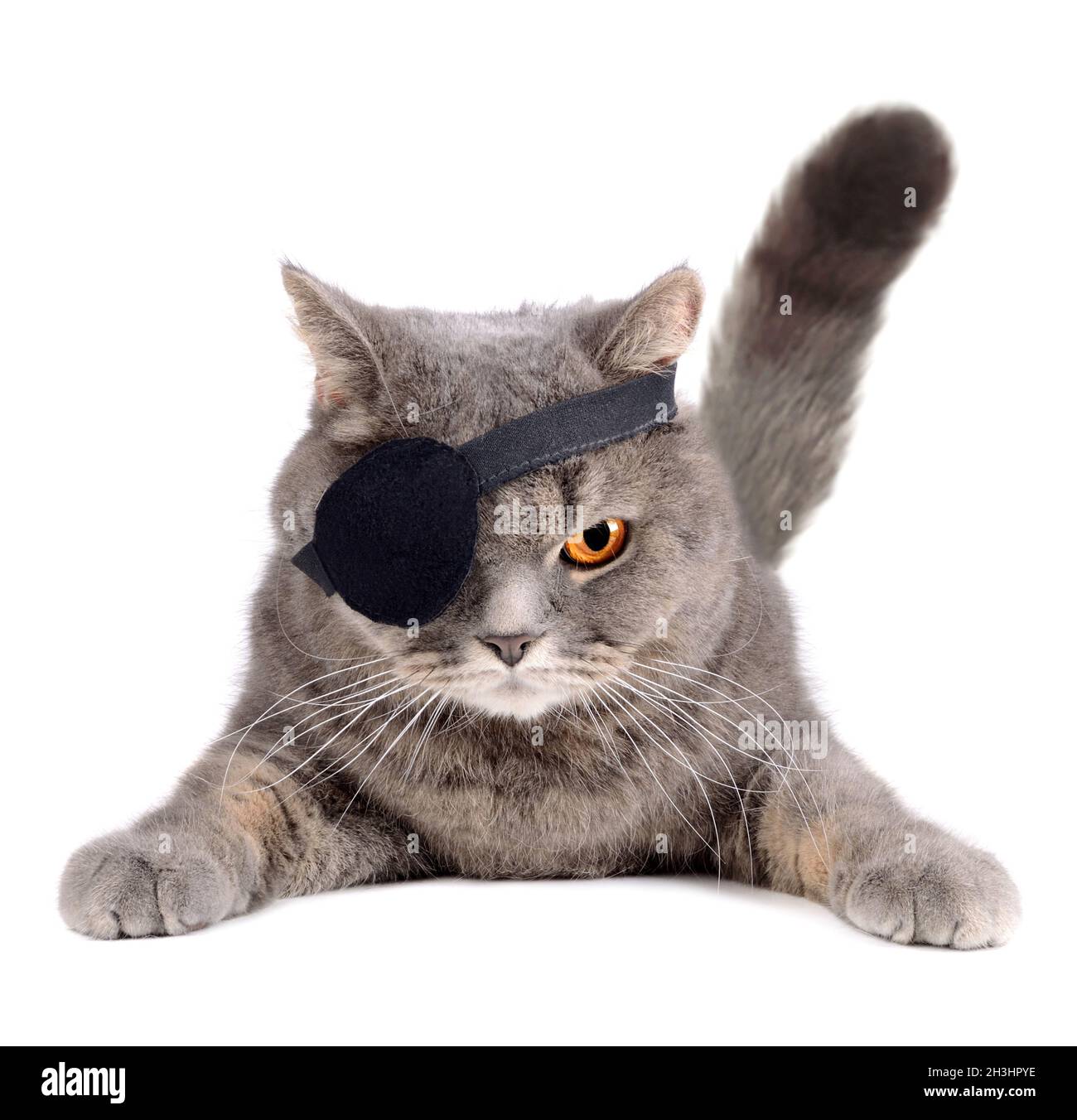 One eyed pirate patch hi-res stock photography and images - Alamy