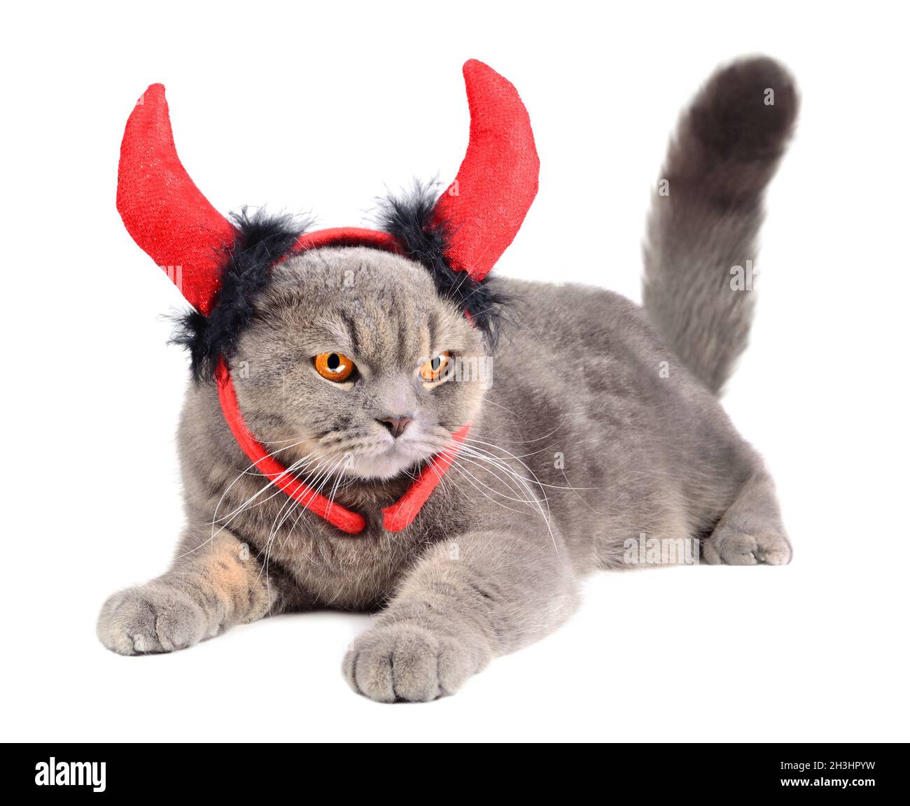 Red devil eyes isolated hi-res stock photography and images - Alamy