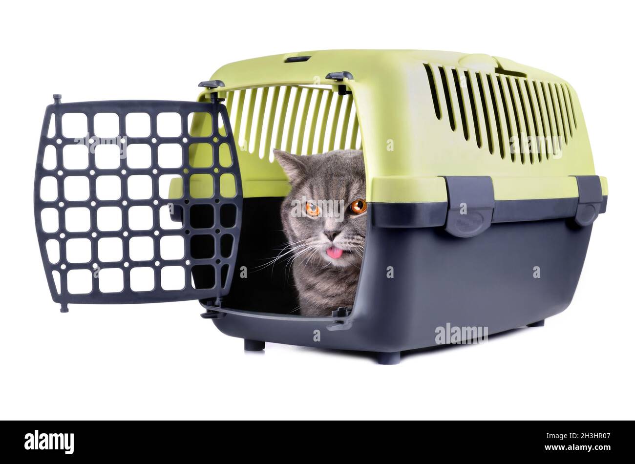 Scary cat eyes Cut Out Stock Images & Pictures - Alamy