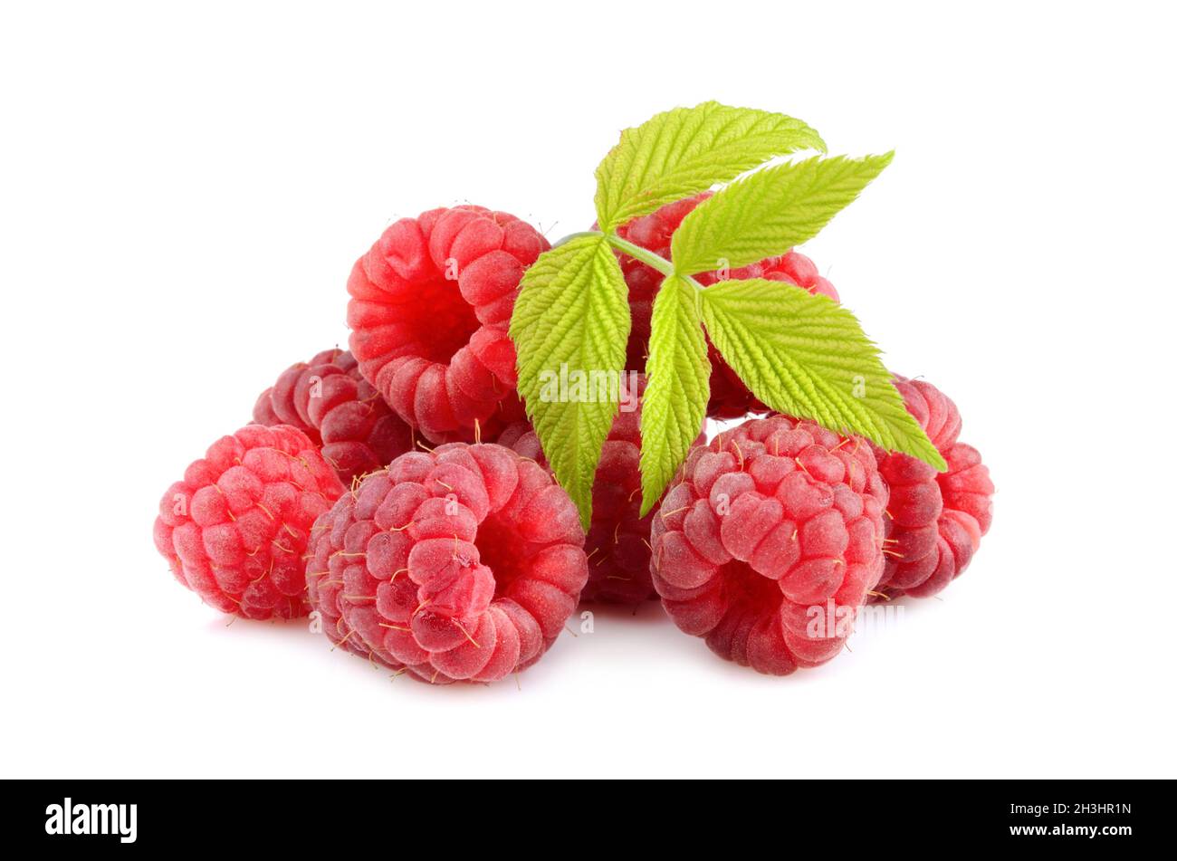 Purple raspberries hi-res stock photography and images - Alamy