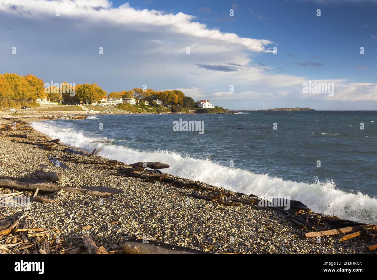 Pacific Ocean Waterfront and Vancouver Island Coastline Beach near Ross ...