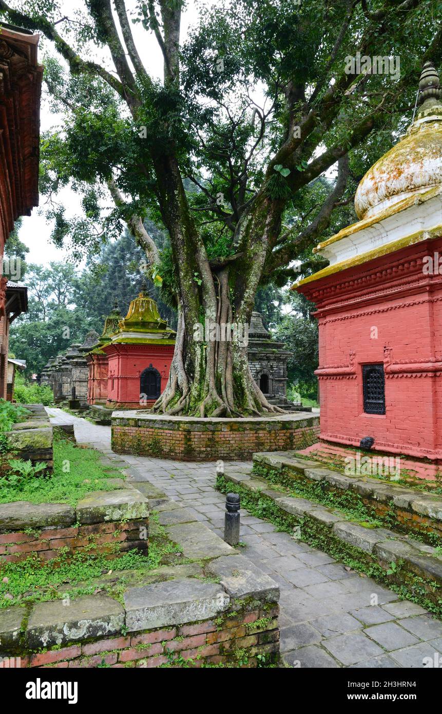 Hindu temple in Kathmandu Valley Stock Photo - Alamy