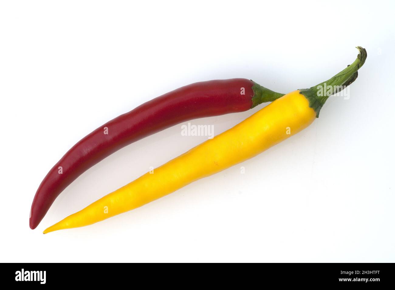 Chili, Capsicum; Annuum Stock Photo - Alamy