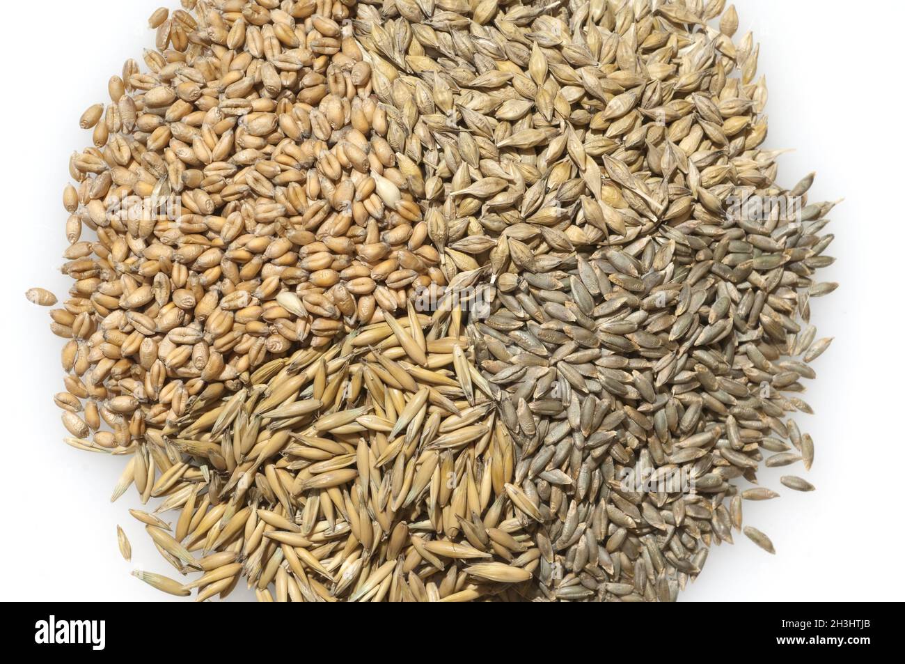 Grains, cereal grains, cereal kernels Stock Photo - Alamy