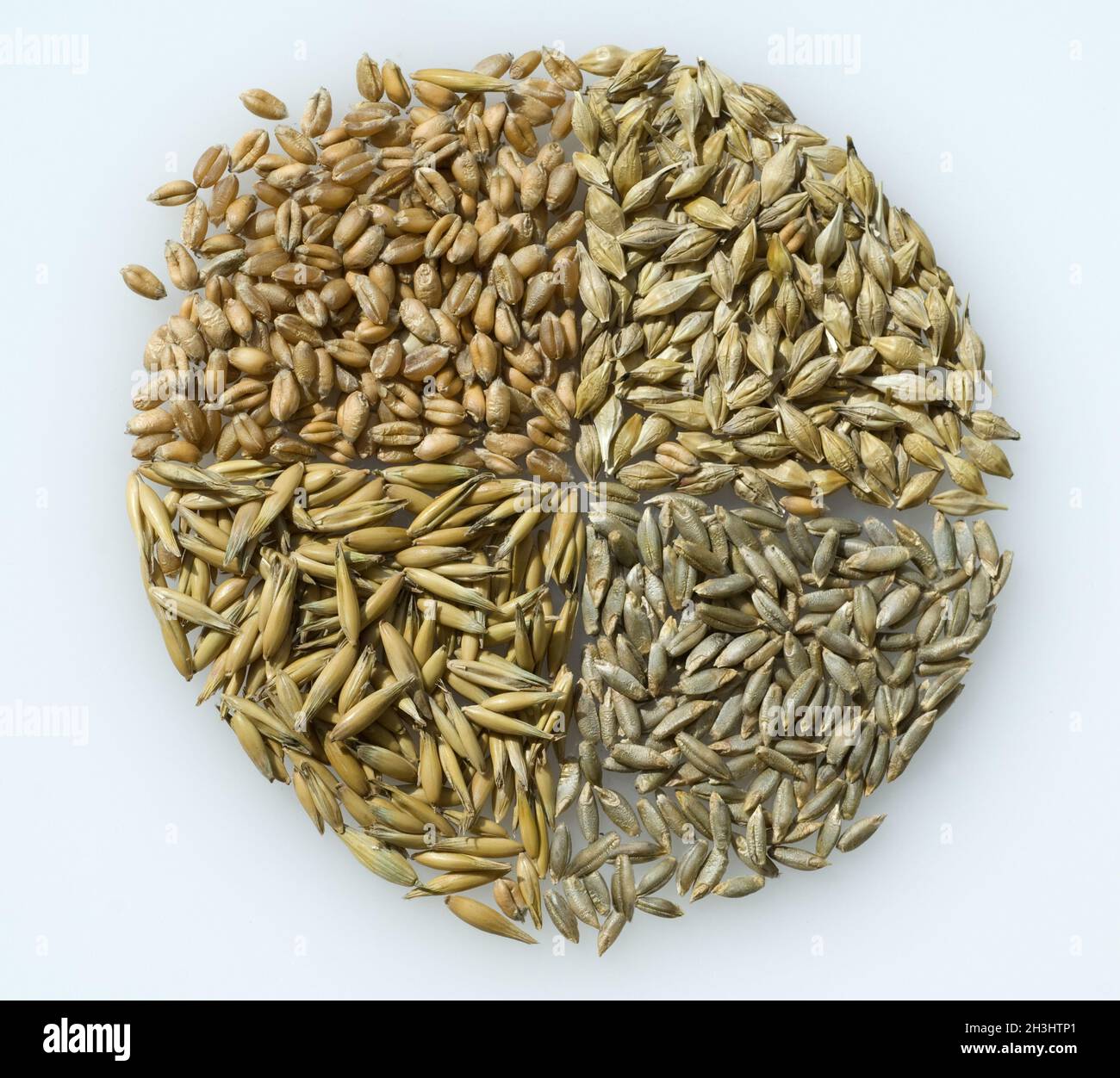 Grain varieties; cereals; cereal grains Stock Photo - Alamy