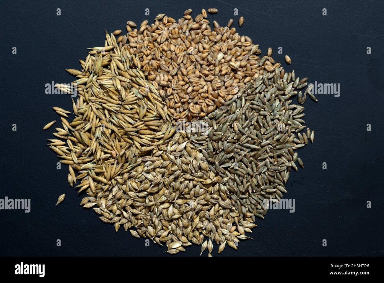 Grain varieties; cereals; cereal grains Stock Photo - Alamy