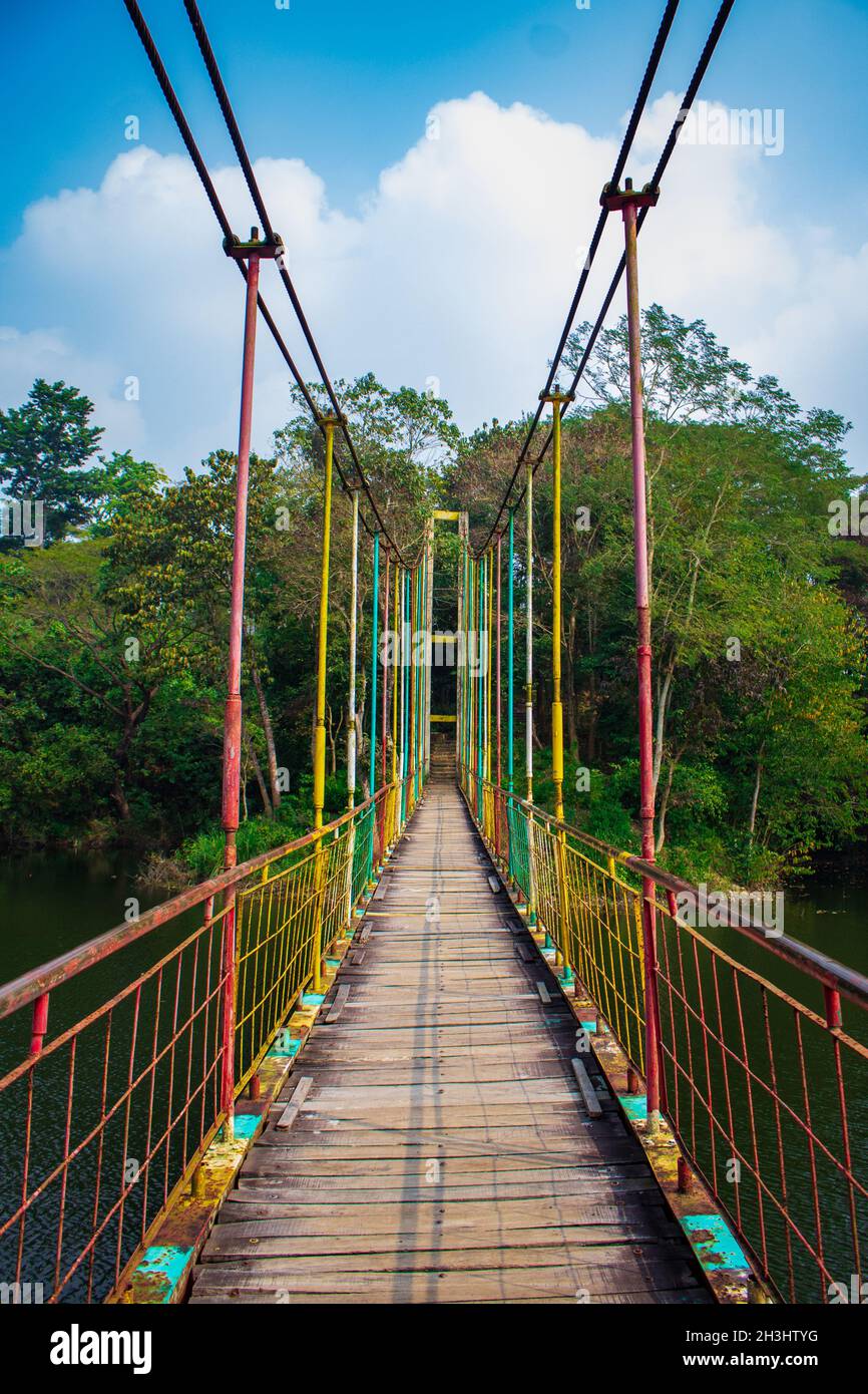 Forest rope bridge hike hi-res stock photography and images - Alamy