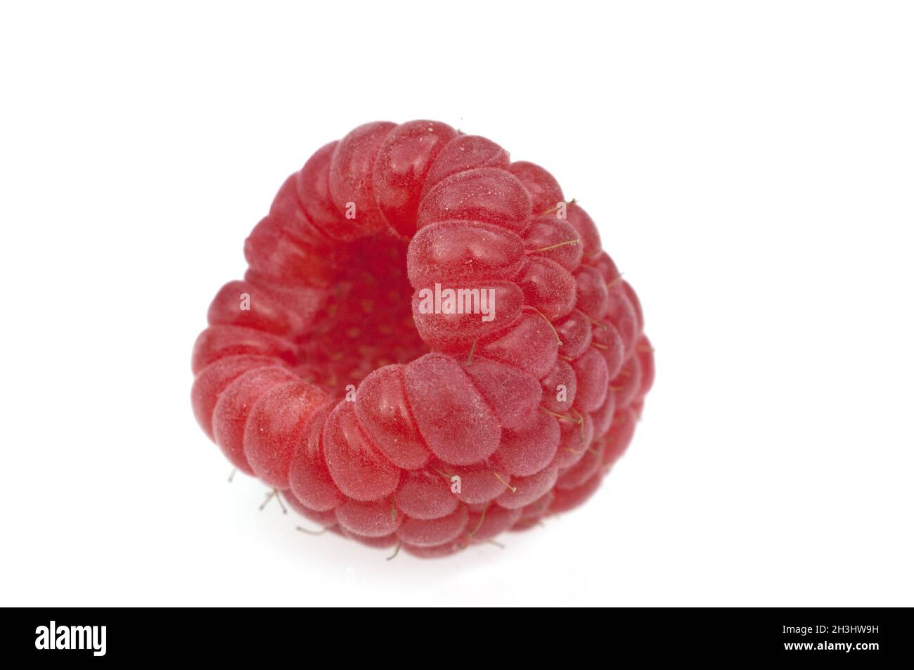 Raspberry; Rubus, idaeus; wild berry; hollow berry Stock Photo - Alamy