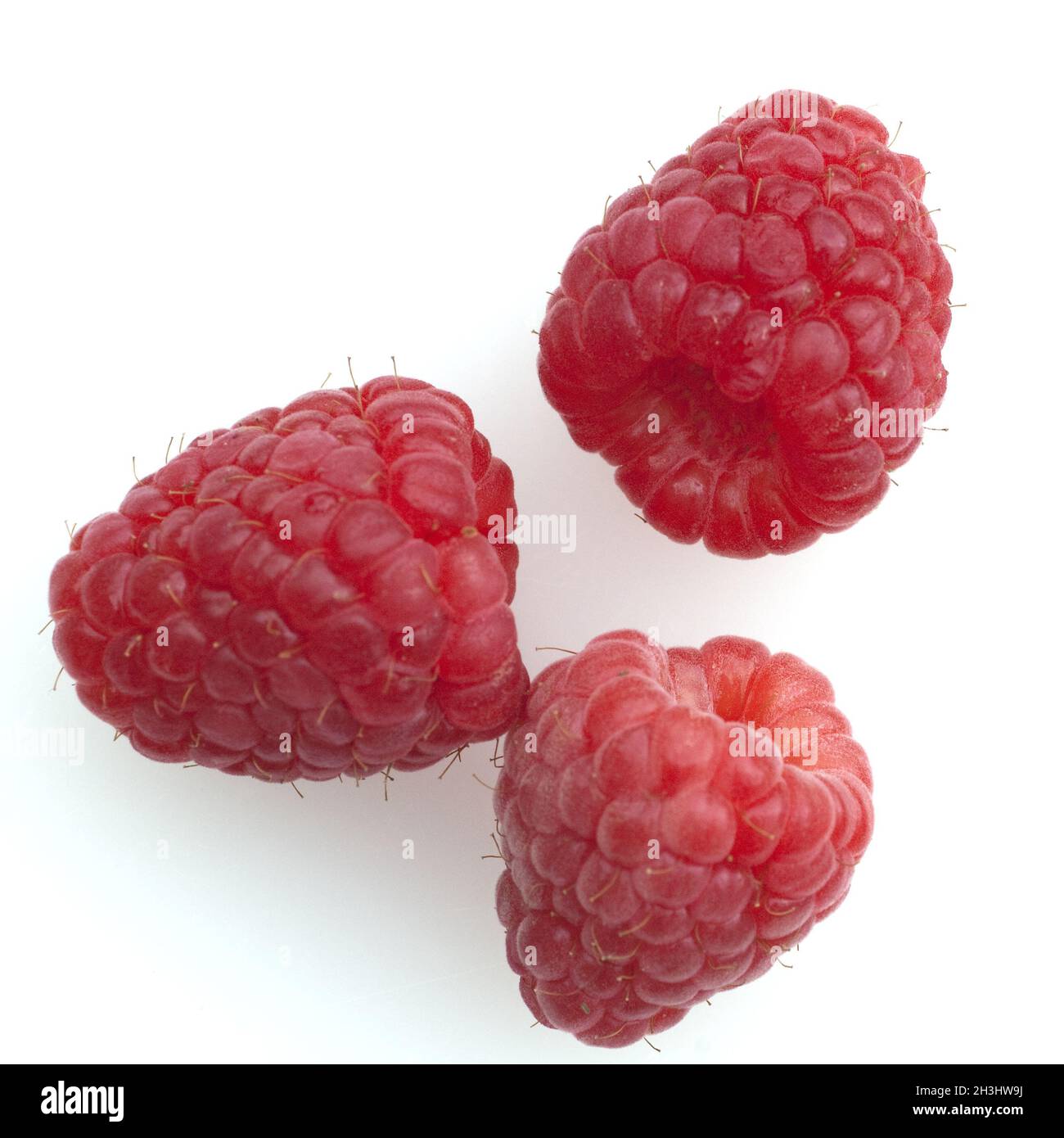 Raspberry; Rubus, idaeus; wild berry; hollow berry Stock Photo - Alamy