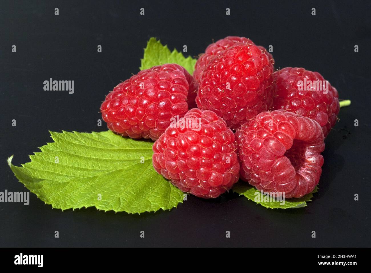 Raspberry; Rubus, idaeus; wild berry; hollow berry Stock Photo - Alamy