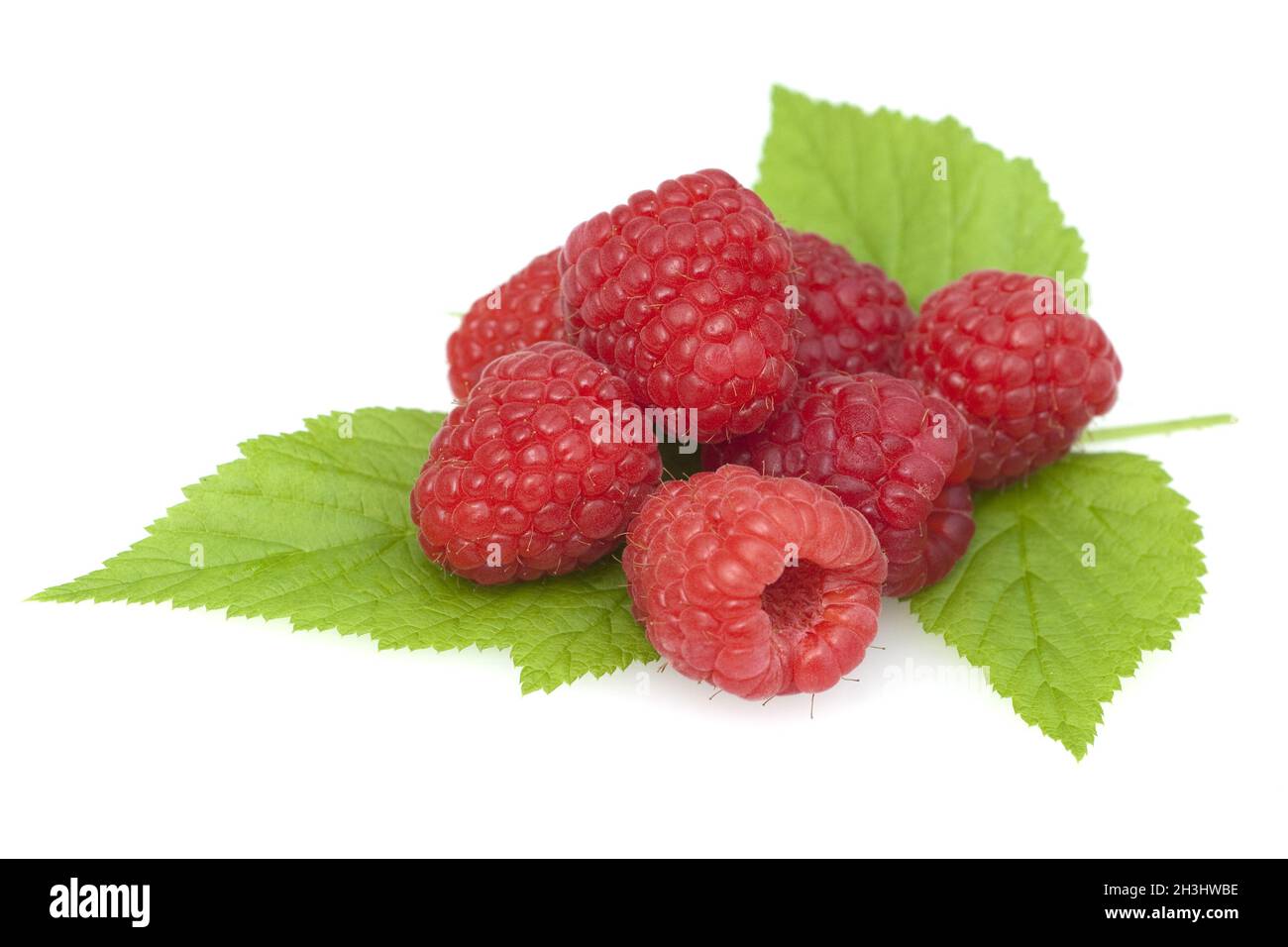 Raspberry; Rubus, idaeus; wild berry; hollow berry Stock Photo - Alamy