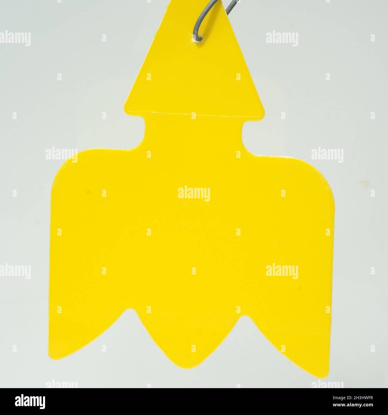 Yellow trap, insect trap Stock Photo - Alamy