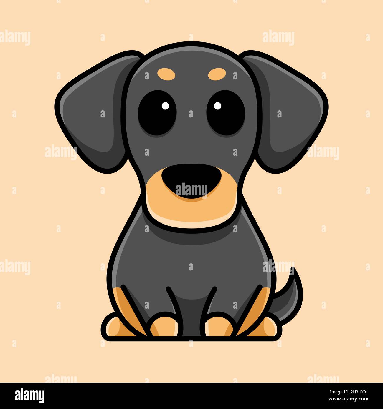 Dachshund dog seamless vector Stock Vector Images - Alamy