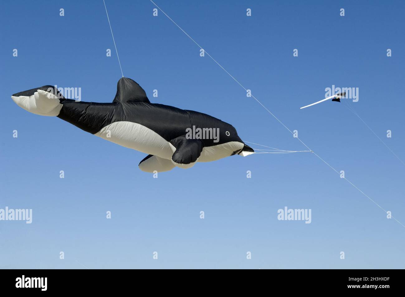 Kites, large kites, wind kites, flying kites Stock Photo - Alamy