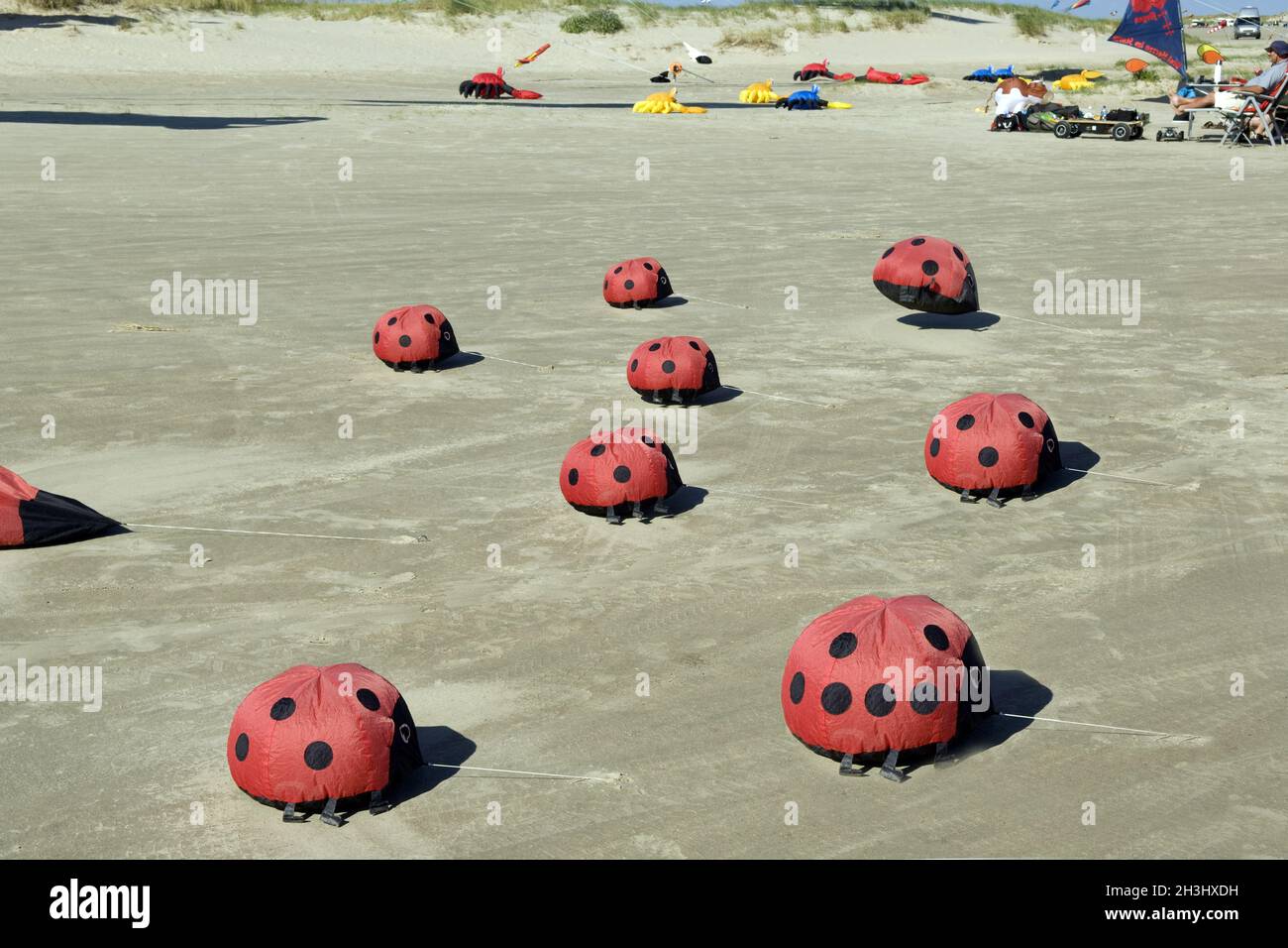 Ground wind games, ladybug, ladybug Stock Photo - Alamy