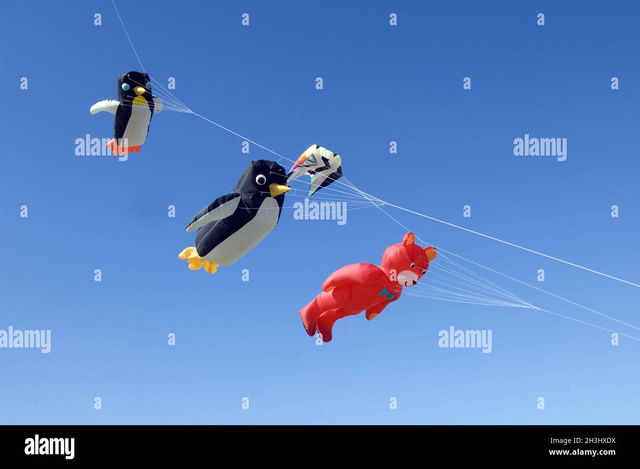 Kites, large kites, wind kites, flying kites Stock Photo - Alamy