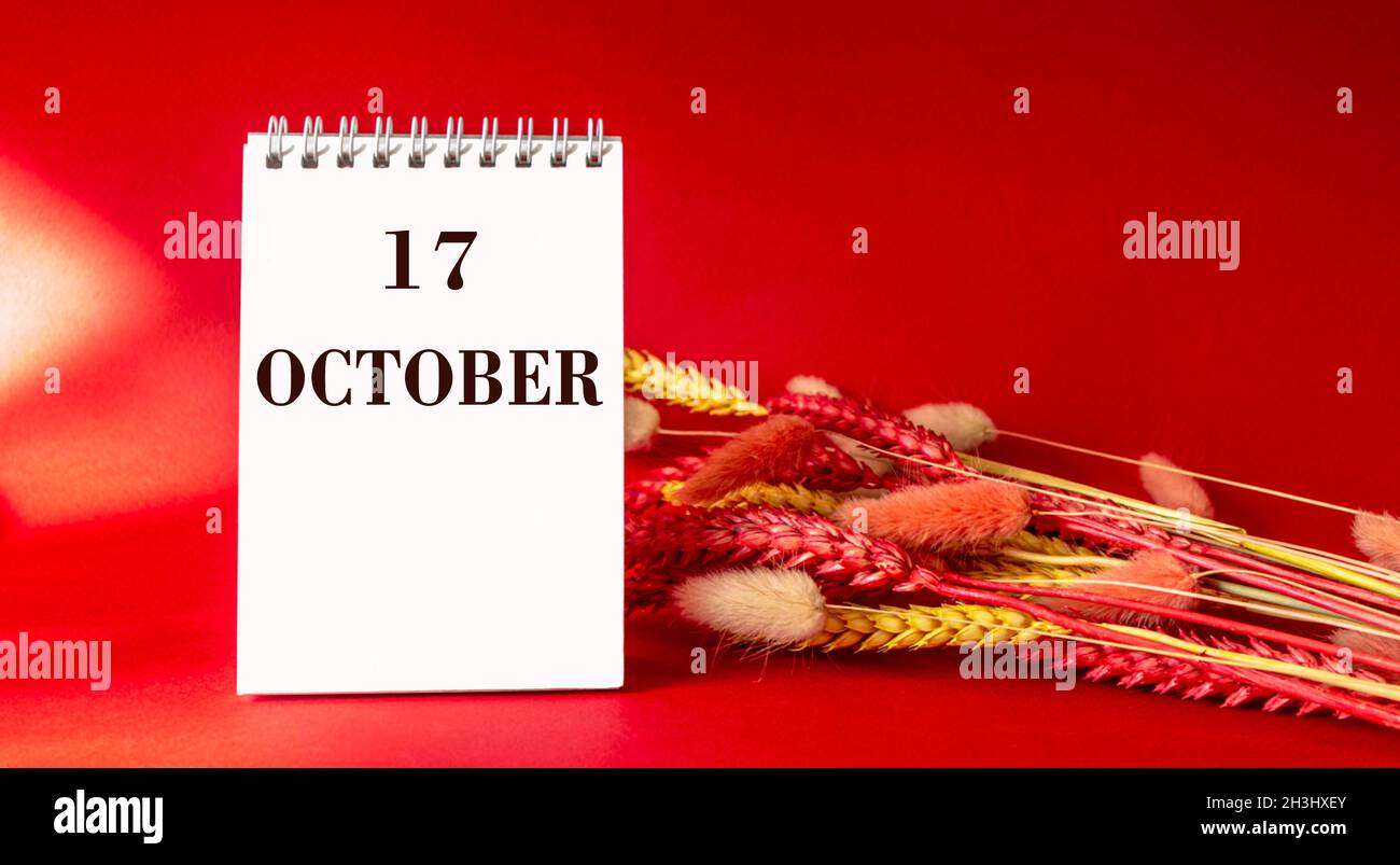 Calendar with date on red background, 17 October Stock Photo - Alamy