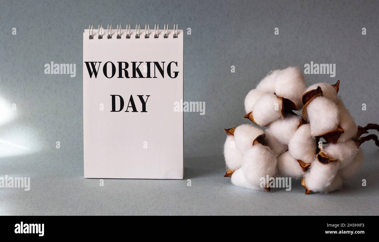 On a blue background a calendar with the text Workday, next to a cotton ...