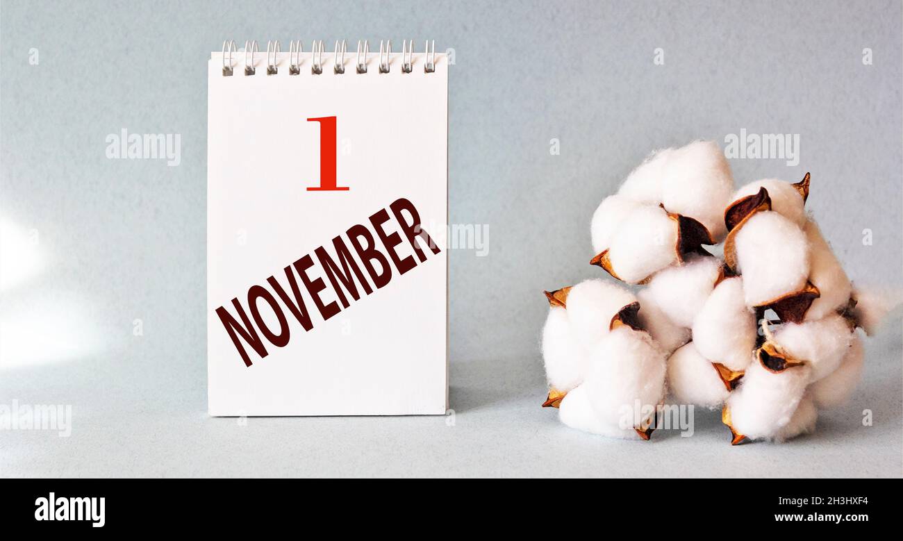 November 1 on the calendar next to a branch of cotton on a light table ...