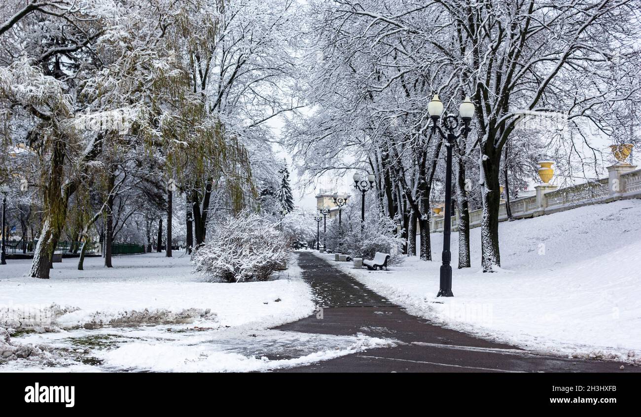 Winter park, winter city landscape. Snow, city, lights and trees in a ...