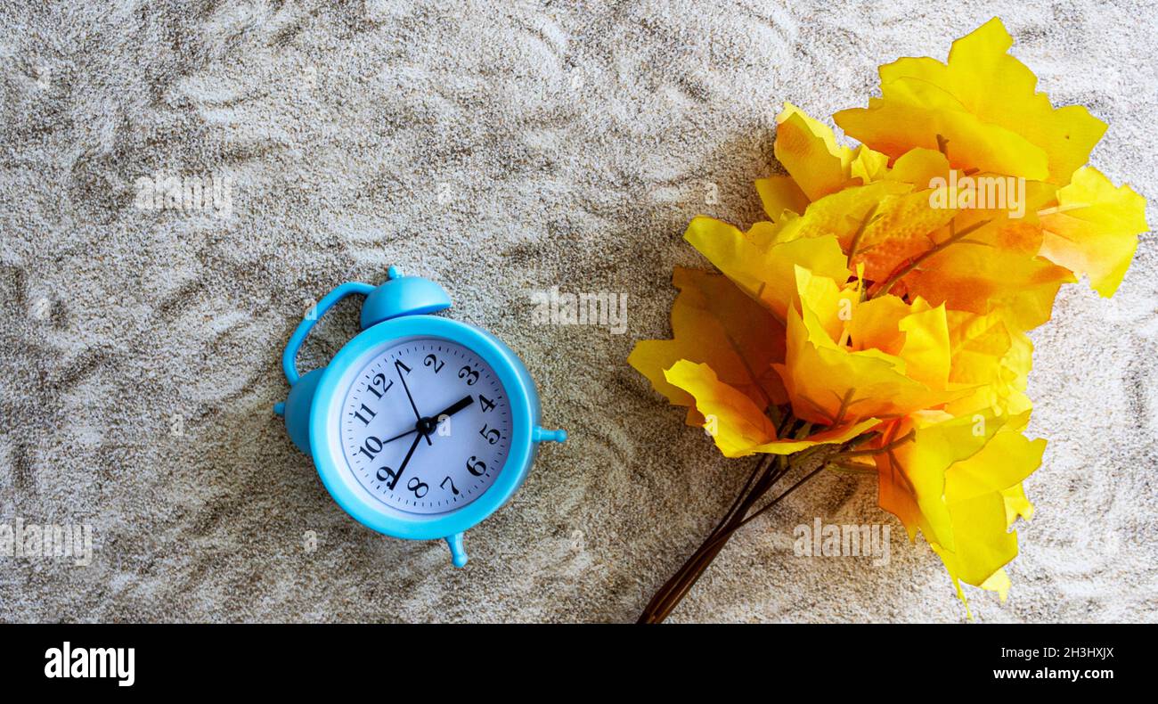 Alarm clock and maple branch on the sand. Fall Season Image Style Stock ...