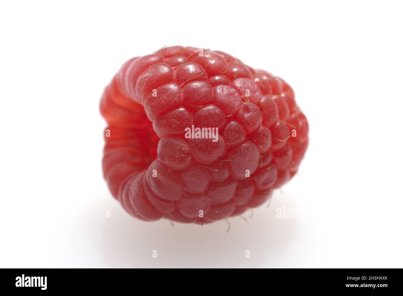 Raspberry; Rubus, idaeus; wild berry Stock Photo - Alamy