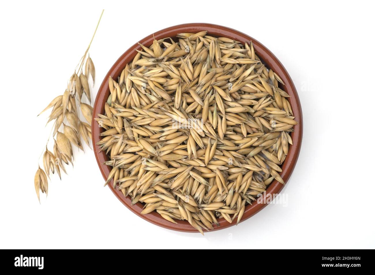 Ear of oats Cut Out Stock Images & Pictures - Alamy