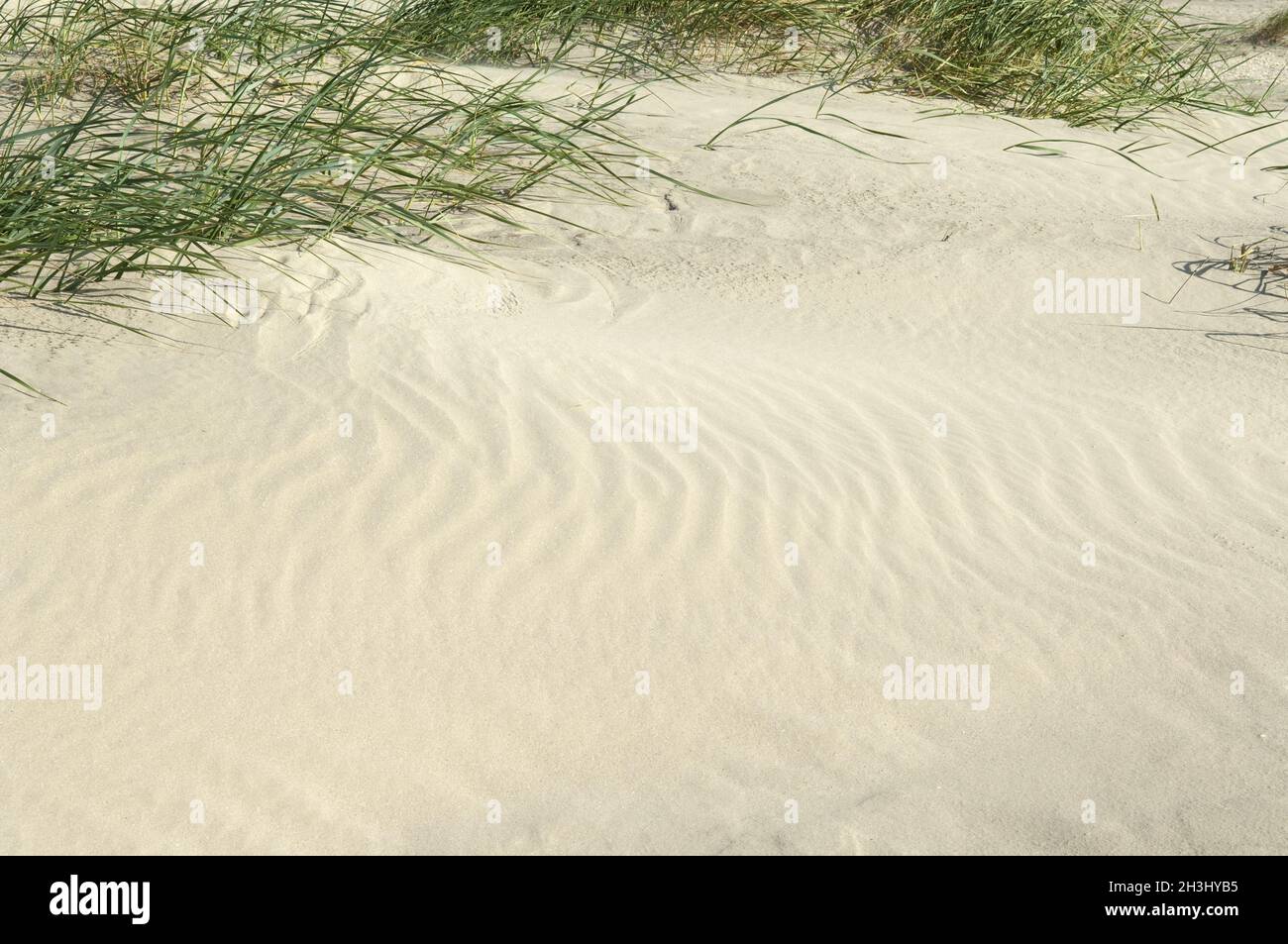 Sand structure, sand, coast Stock Photo - Alamy