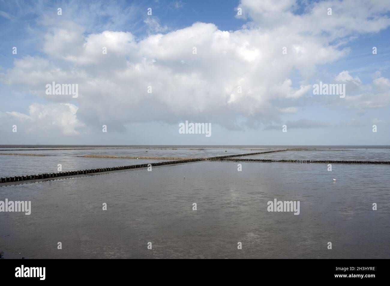 Coastal drainage hi-res stock photography and images - Alamy