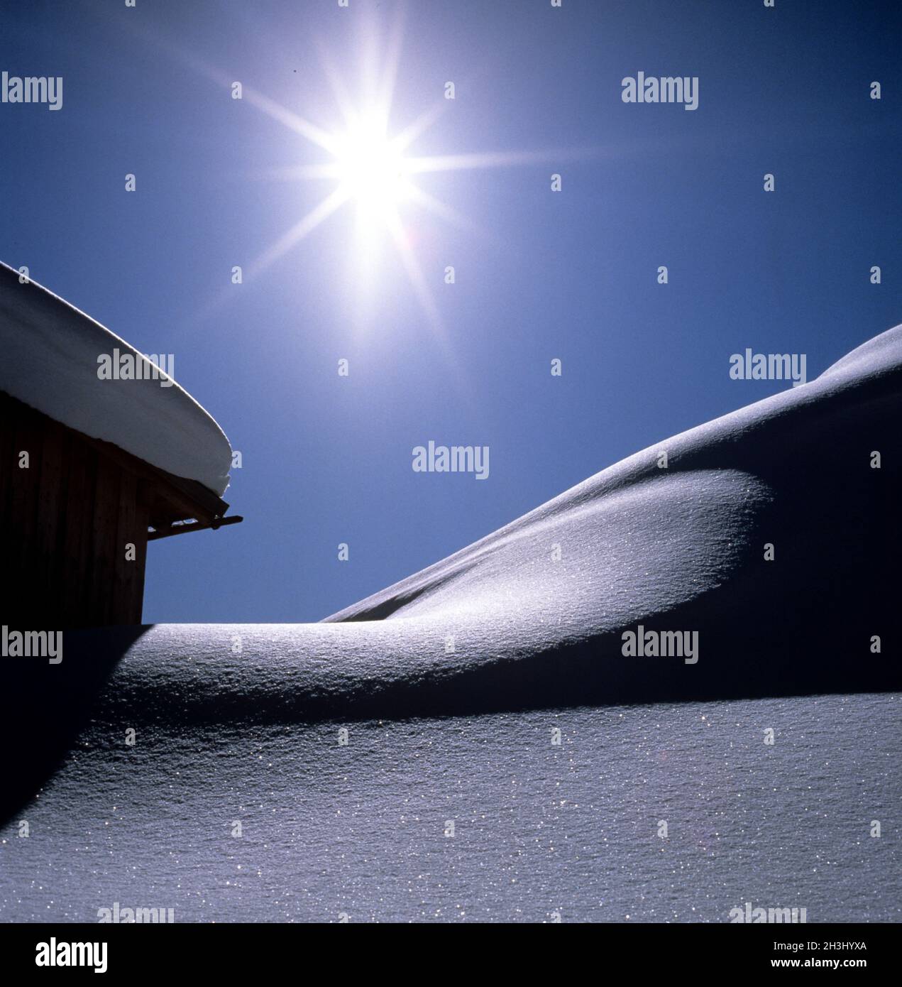 Sun backlight hi-res stock photography and images - Alamy