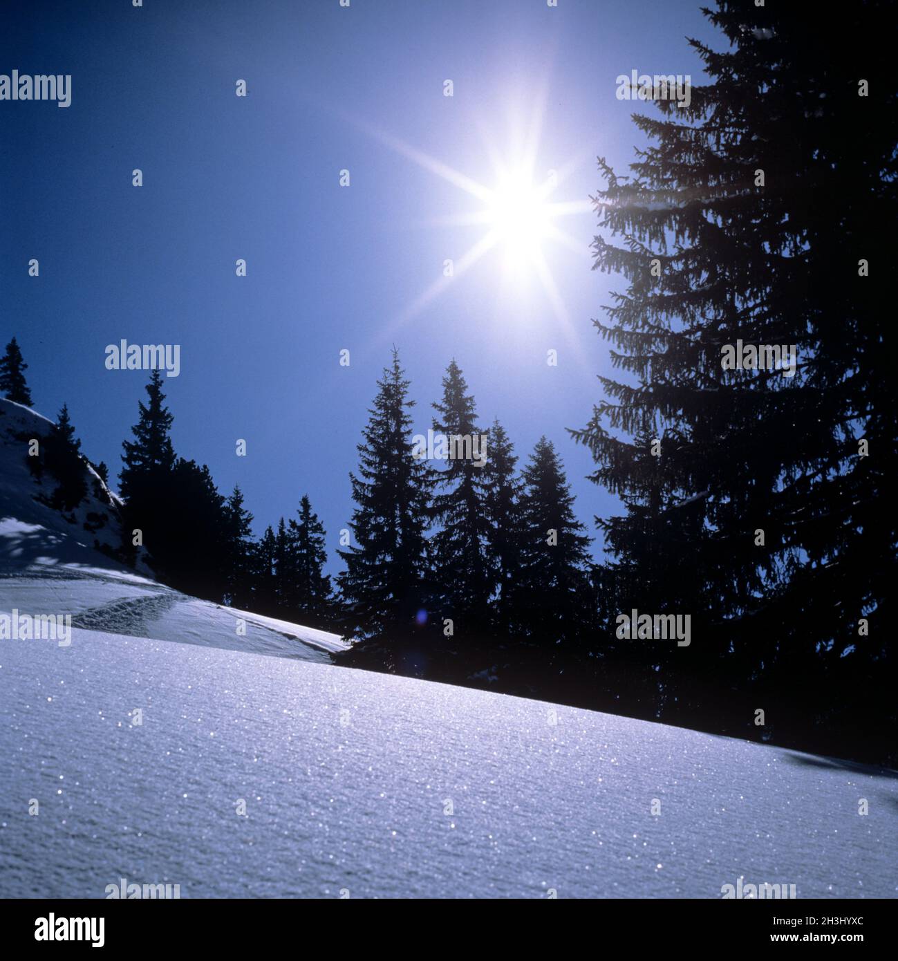 Sun backlight hi-res stock photography and images - Alamy