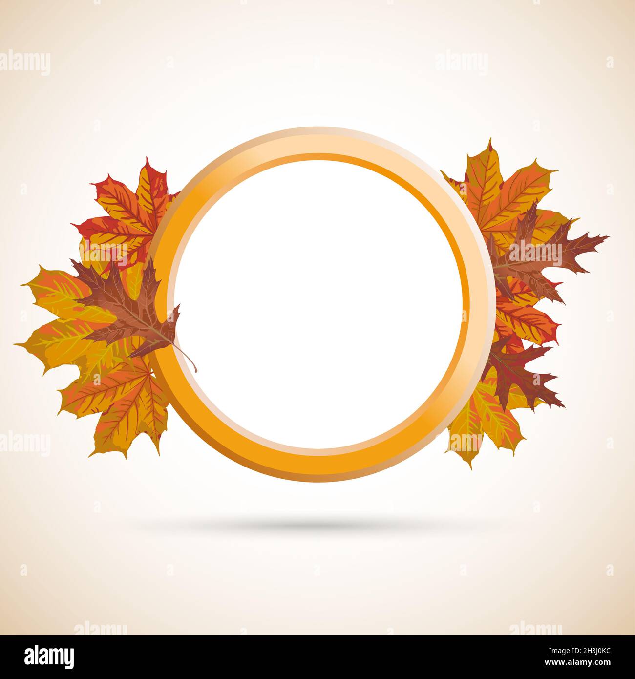 White ring autumn foliage hi-res stock photography and images - Alamy