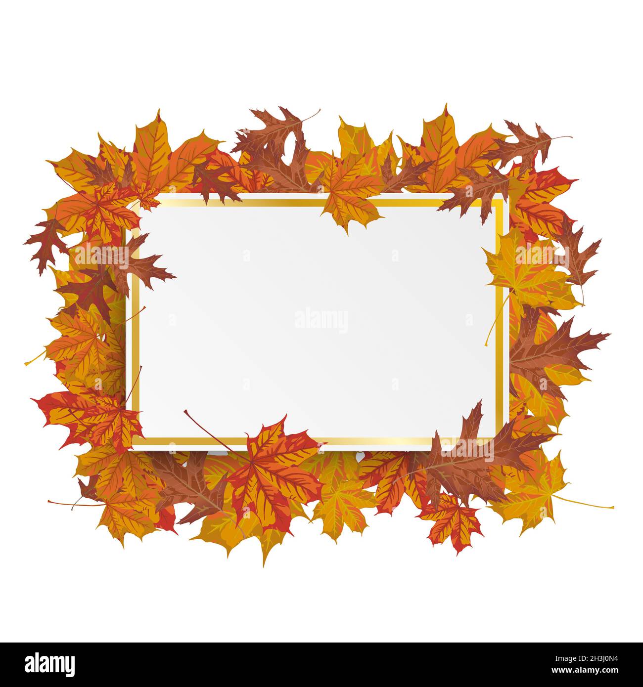 Classic board design hi-res stock photography and images - Alamy