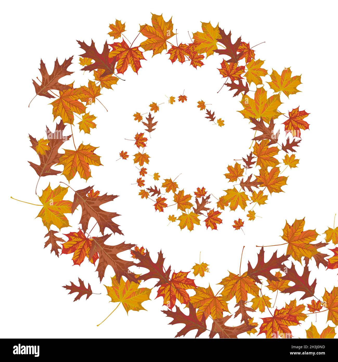 Foliage and structure Cut Out Stock Images & Pictures - Alamy