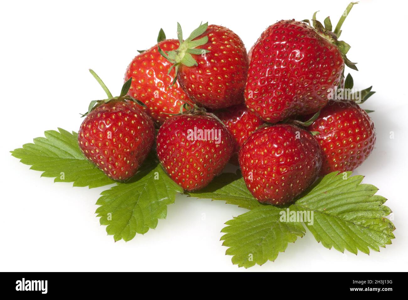 Strawberry, Fragaria x ananassa, soft fruit Stock Photo - Alamy