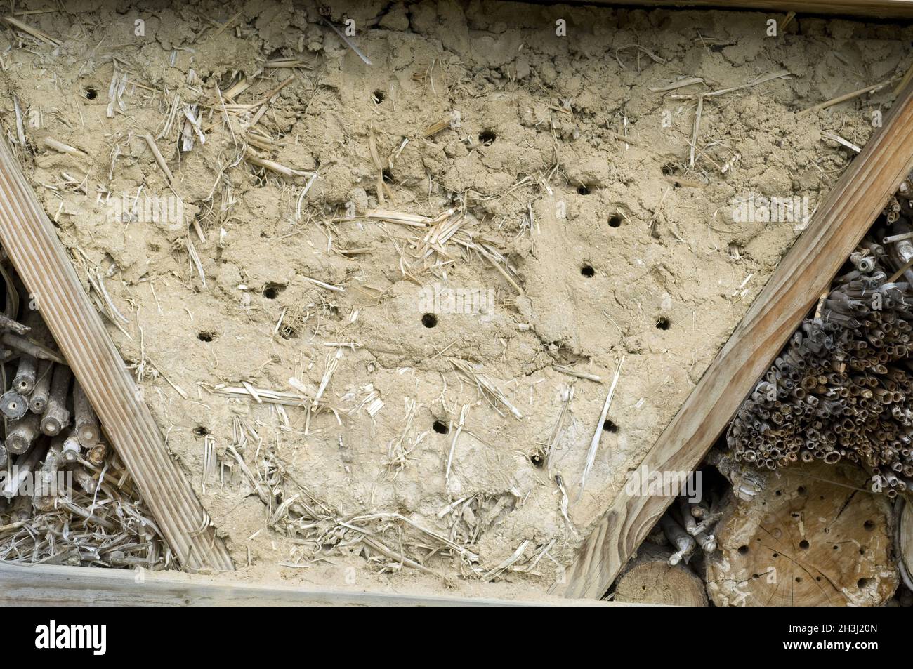 Insect shelter; insects Stock Photo - Alamy