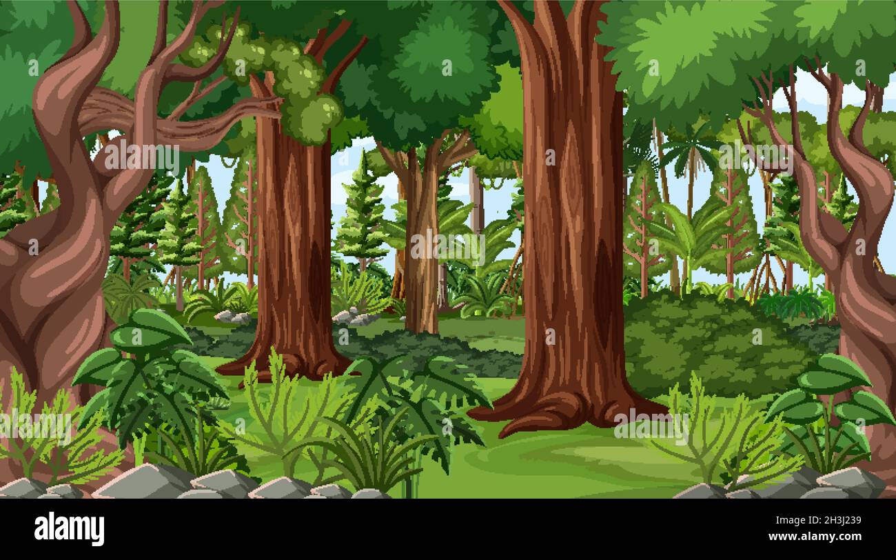 Nature forest landscape background illustration Stock Vector Image ...