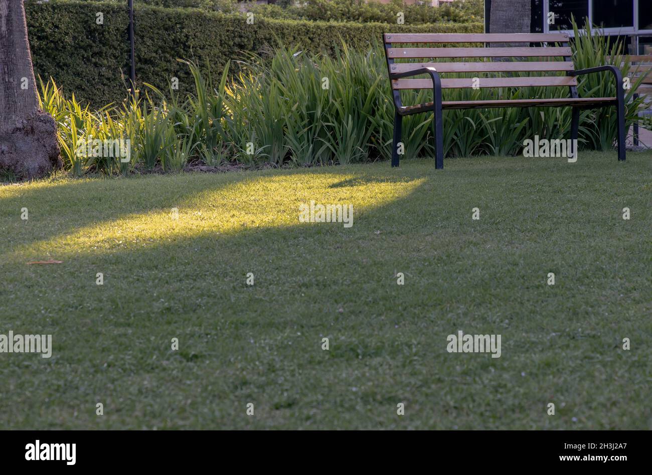 Wooden benches on grass floor in a shady area of the park. Seating and ...
