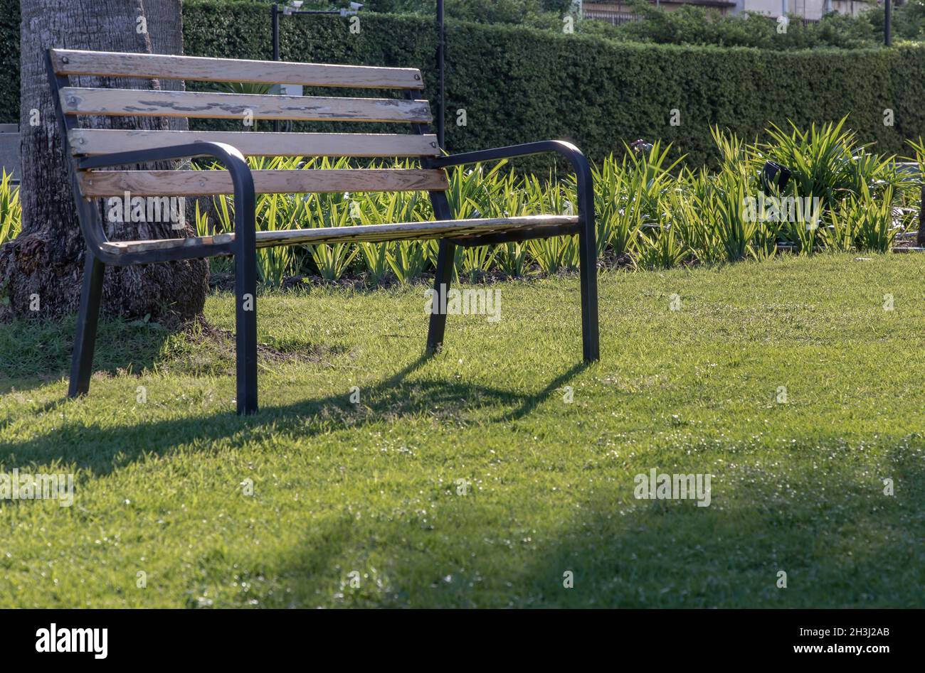 Wooden benches on grass floor in a shady area of the park. Seating and ...