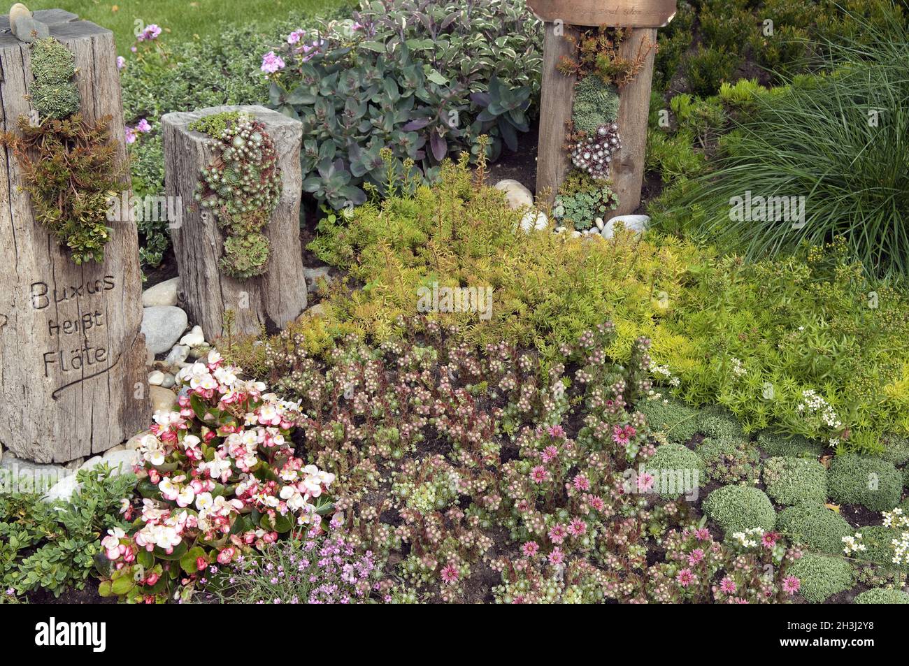 Grave border hi-res stock photography and images - Alamy